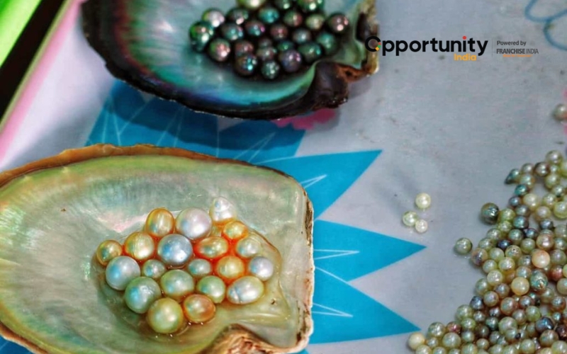 How to Start a Pearl Farming Business in India – Process and Investment ...