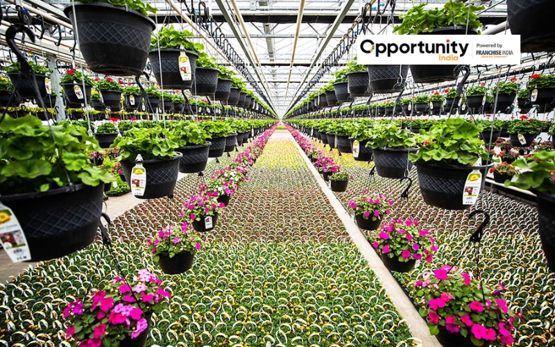 Nursery Business Plan and Key Steps